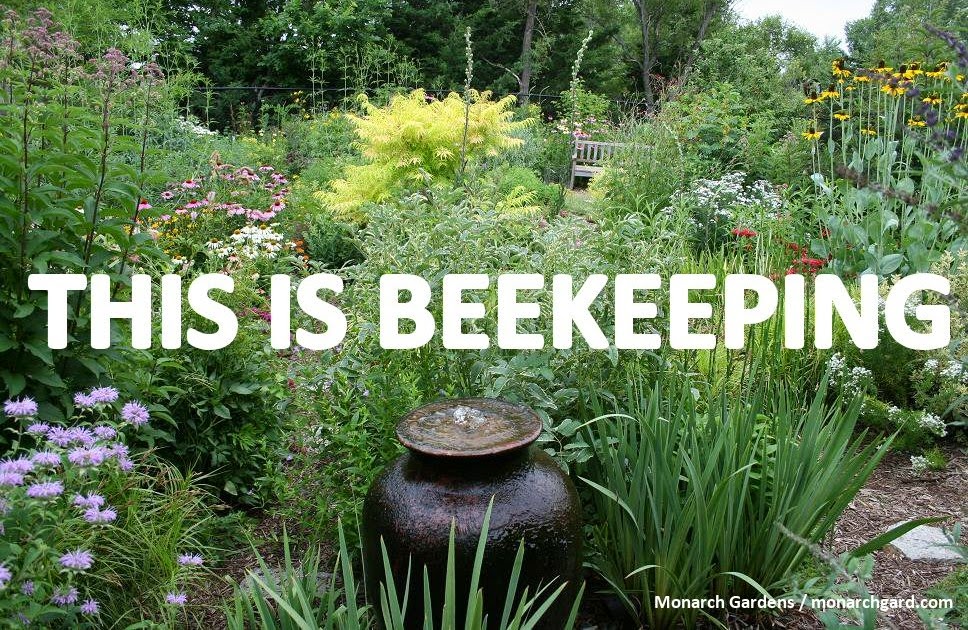 T h e | D e e p | M i d d l e: The Ultimate Pollinator & Native Plant ...