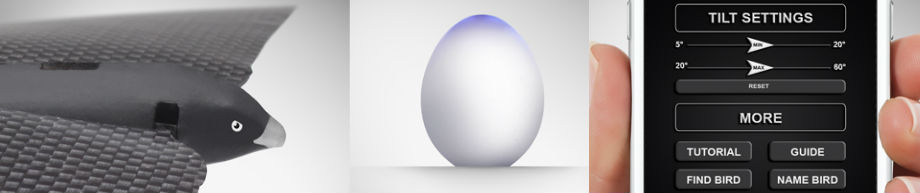 Bionic Bird: The Furtive Drone........