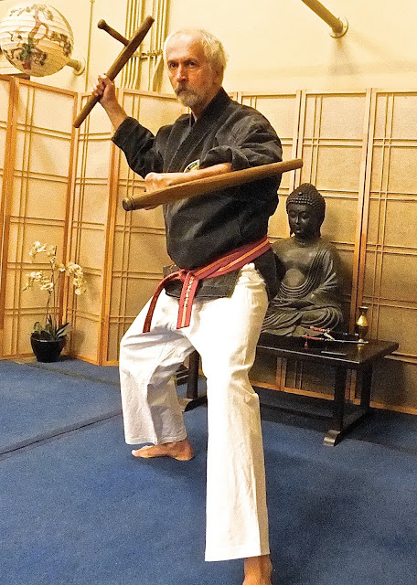 Journal of a Grandmaster - Soke of Shorin-Ryu Karate & Kobudo: Arizona ...