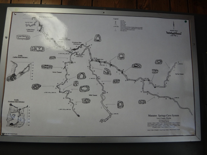 States of Immersion - A Florida Cave Diving Adventure: Catfish Hotel ...