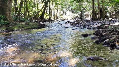 The Long Labour Day/Wesak Day Weekend - Kemensah Trail