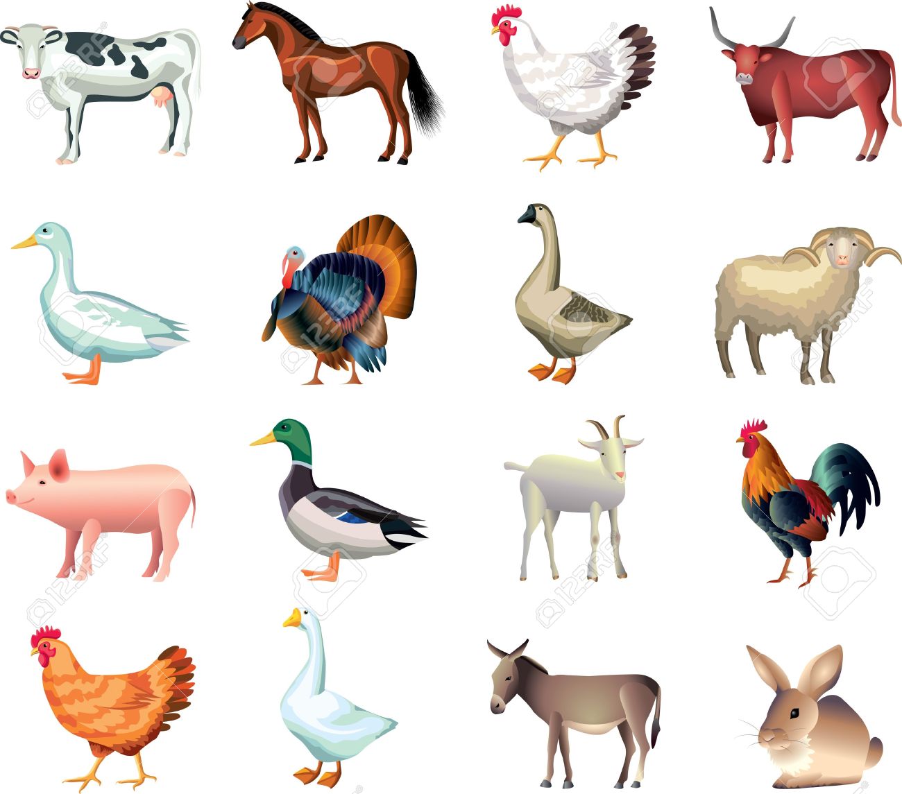 Producción Animal: Animales De Granja