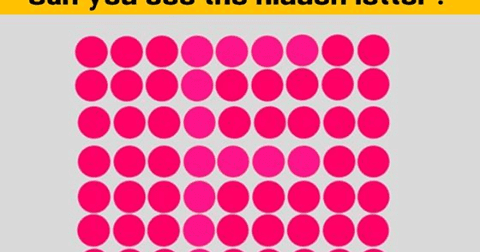 Very Easy Visual Puzzle for Kids with Answer