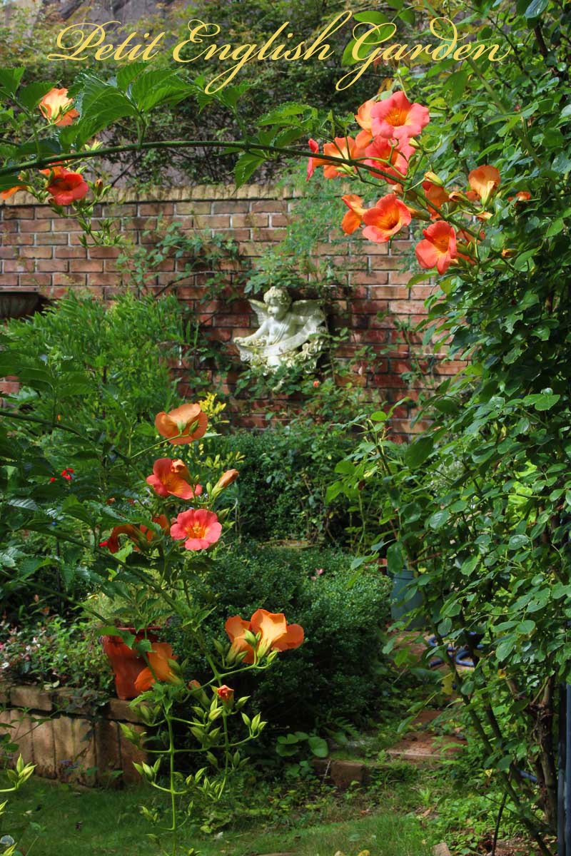 24+ Magnificent Mary Reynolds Christy Collard ~ Danielle Finch