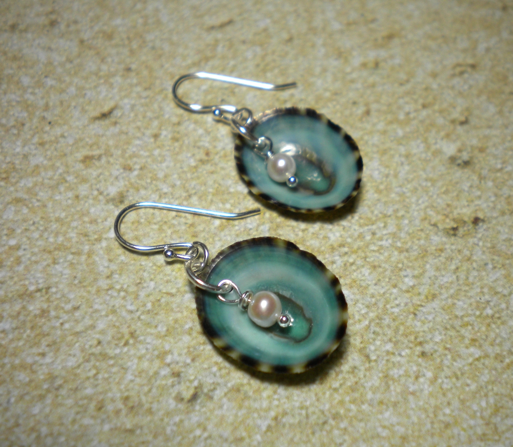 Del's Shells: Blue Limpet Seashell Earrings in Sterling Silver