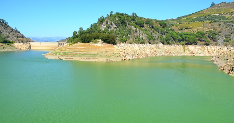 OLHAR d' OURO: O verde que impressiona da água da barragem do Varosa ...