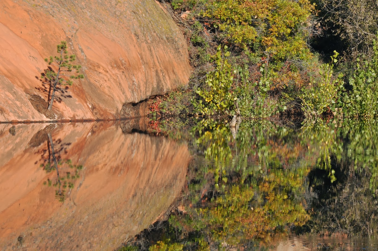 Through the Lens: Red Rock Canyon Open Space, Colorado Springs