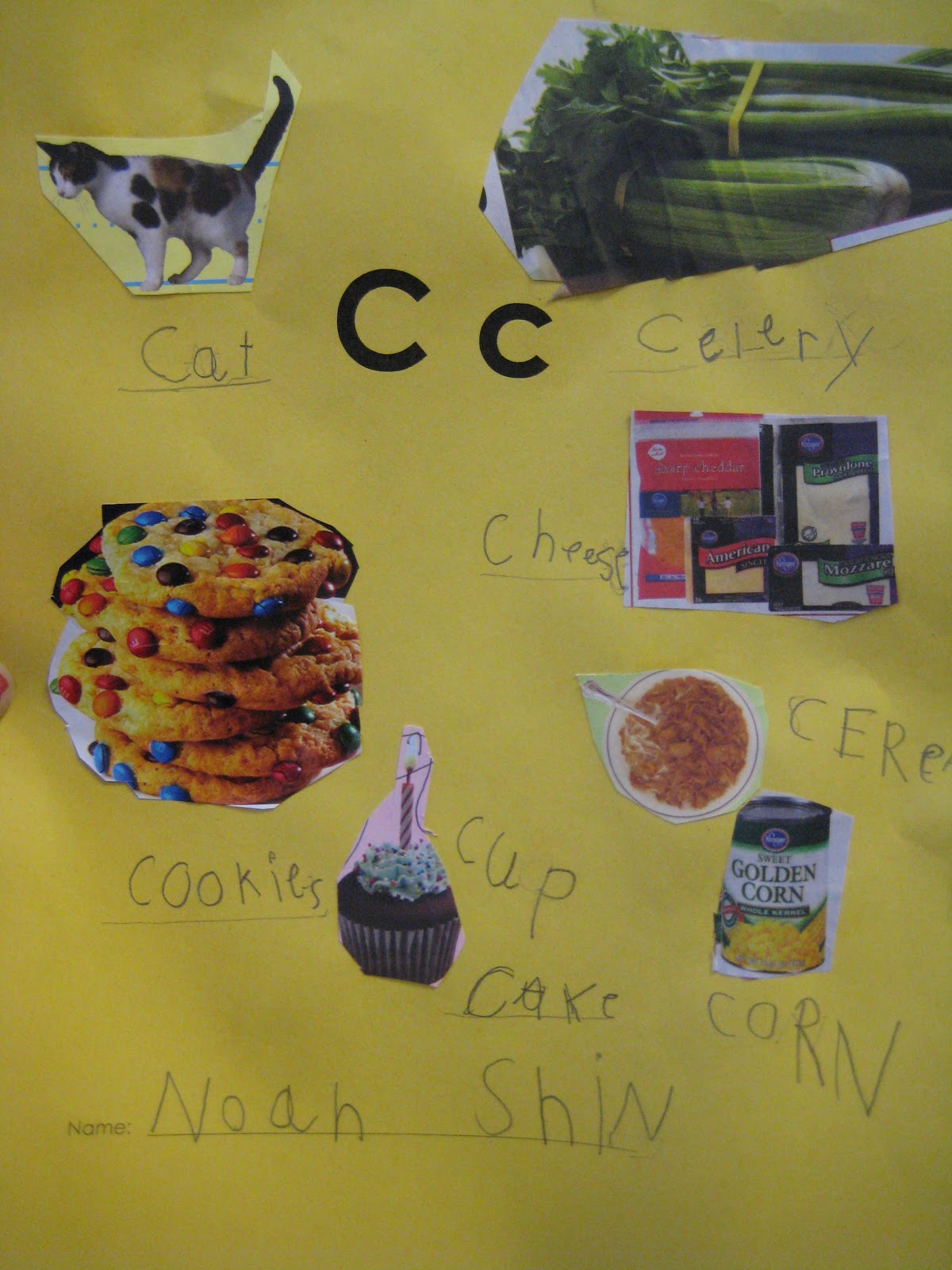 Ms. Sangeorzan's Blog: Alphabet Project