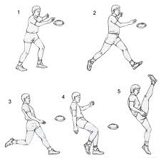 Punt Biomechanics Flinders University Education and Health sciences ...