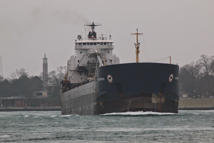 Michigan Exposures: Algowood if She Could