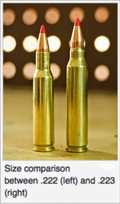 Ask A Firearms Question: Firearm Forum Question: What's the Difference ...