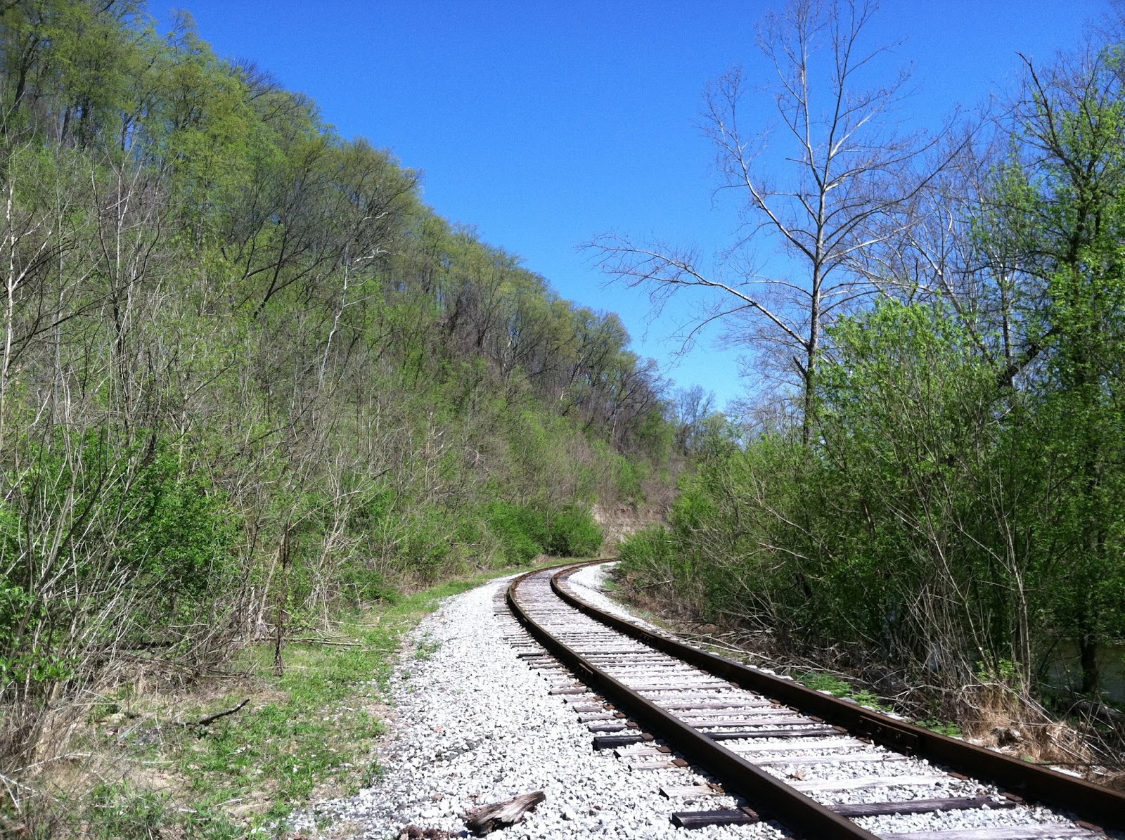 Snow and Jaggers: Wild Chartiers Creek II