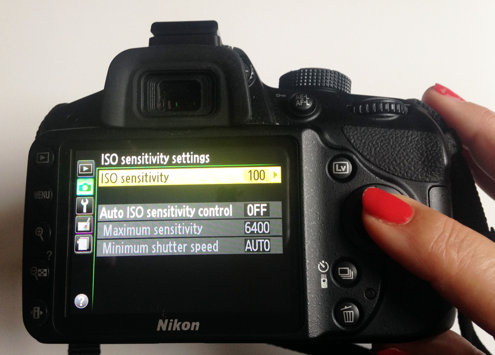 Dianne Sutherland: Photographing and Editing Botanical Artwork, Part 1