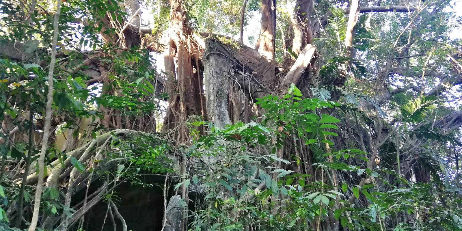 Top 12 Things to Do in Corregidor Island | BLOG-PH.com — Top ...