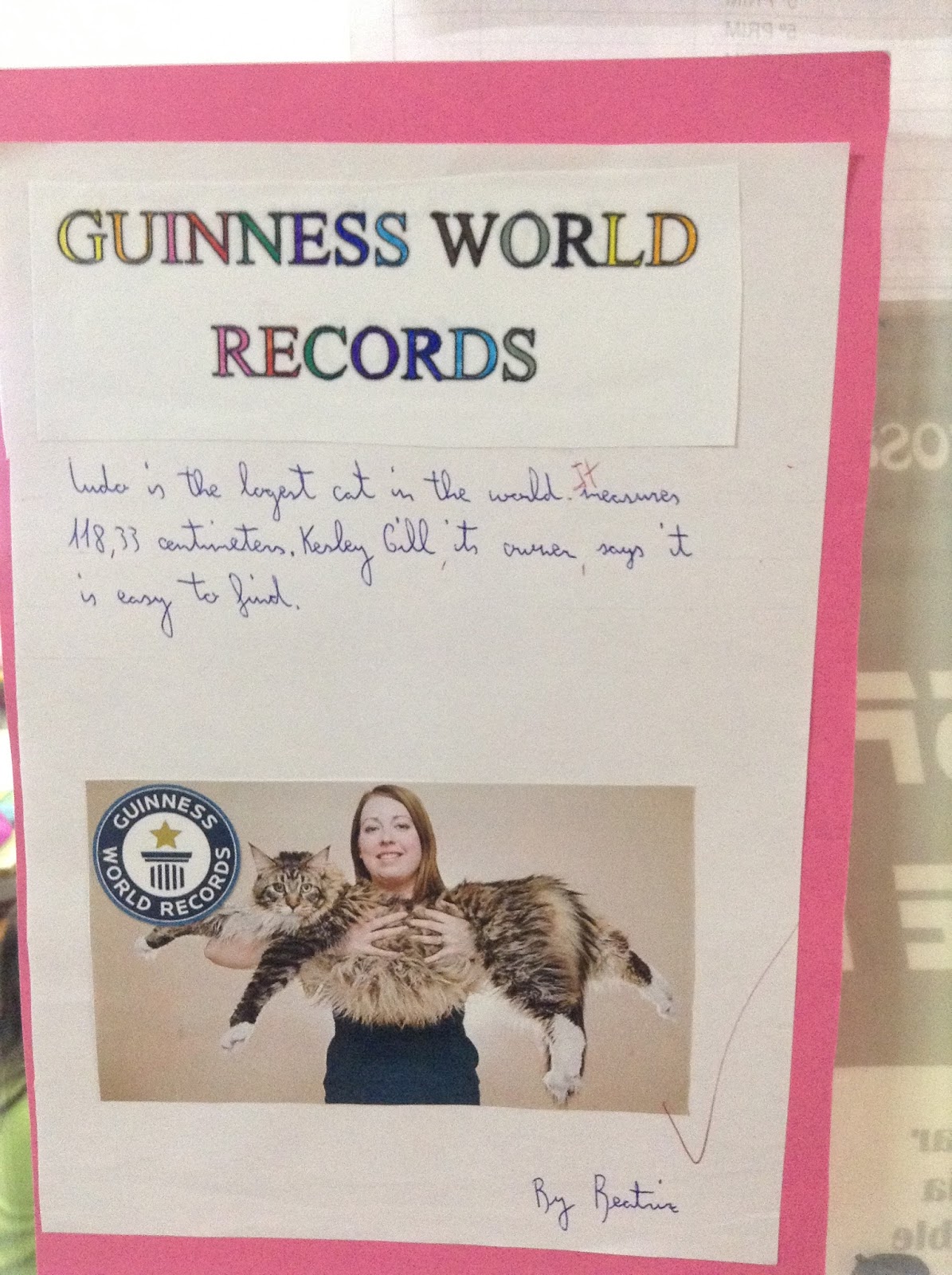 My English Corner: 6th Primary