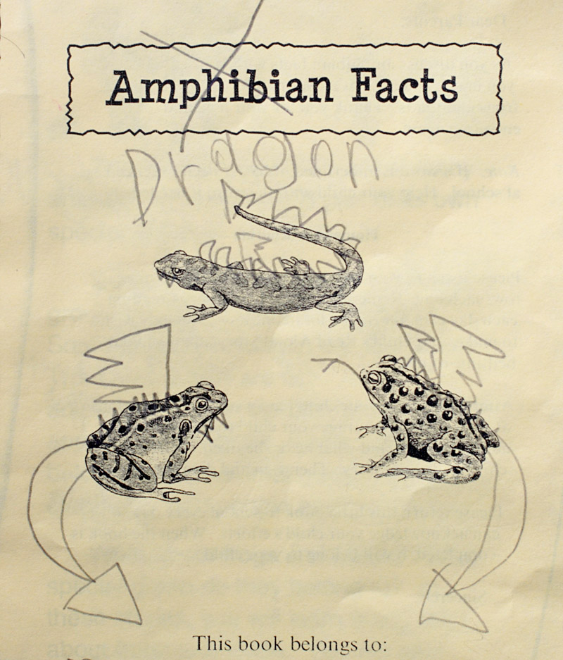 "We do it the Hard Way": amphibian dragon facts