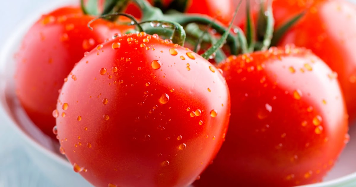 TOMATE SAIBA TUDO SOBRE ELE...