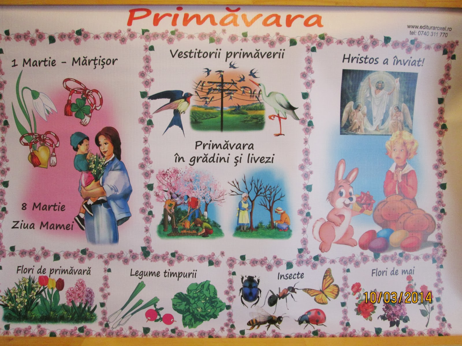 Mela si copiii: Vine, vine primăvara! - cunoașterea mediului ...