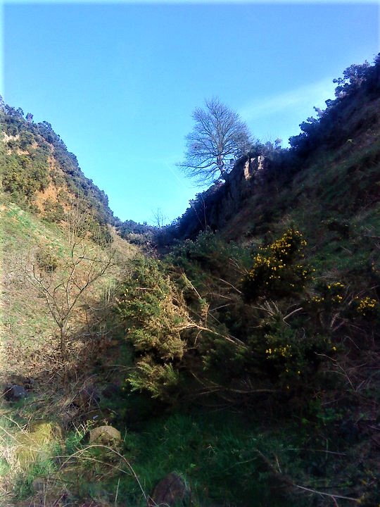 Trev Teasdel Photography: There's Iron in Them Hills - Quarry Great Ayton