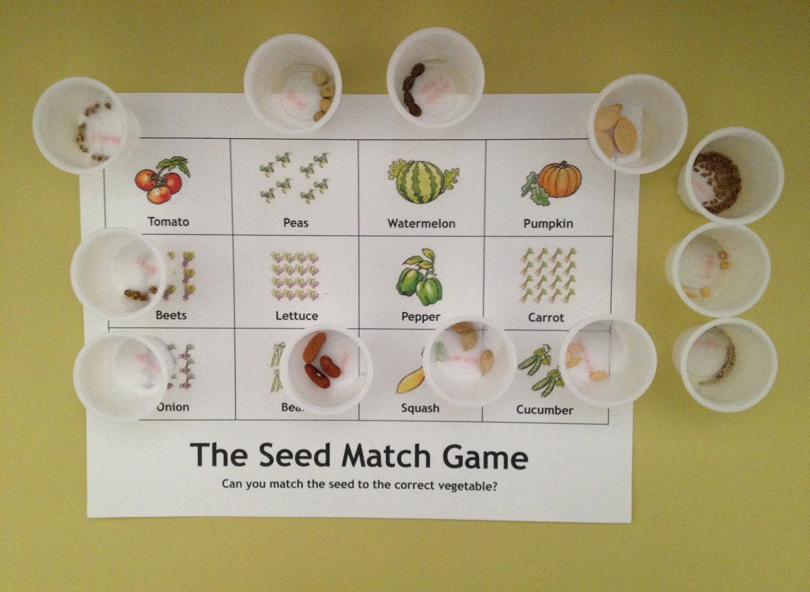 Green Roof Growers: Let’s Make 2-Liter SIPs!