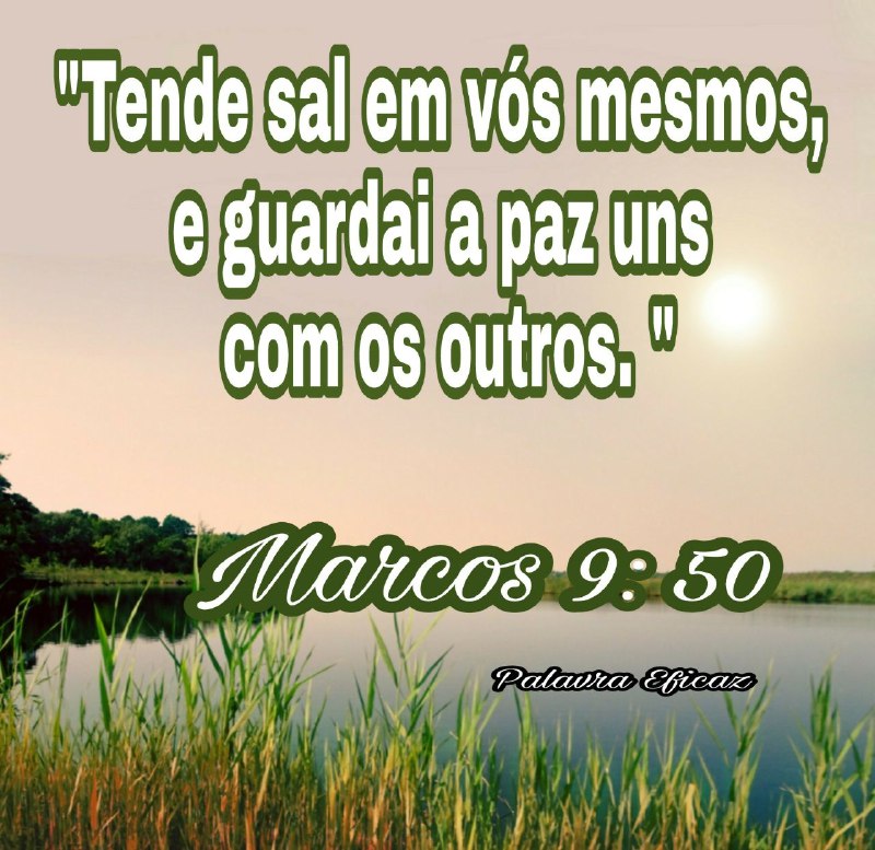 Palavra Eficaz : MARCOS 9 Comentário Pr Heber Toth Armí