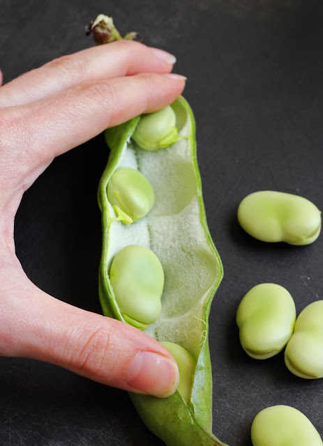 The Cilantropist: Smashed Peas and Fava Beans with Fresh Mozzarella
