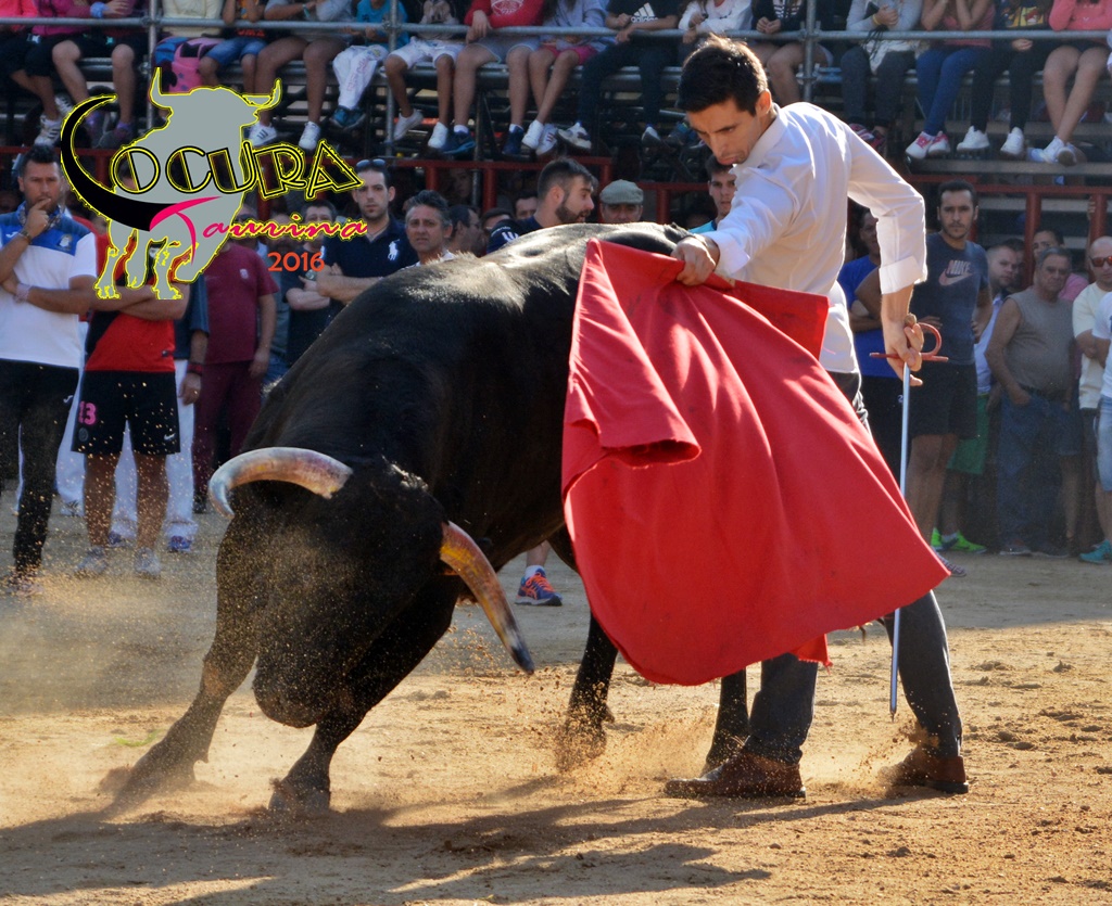 LOCURA TAURINA: ARGANDA DEL REY: ENCIERRO CON TOROS DE LA GANADERIA ...