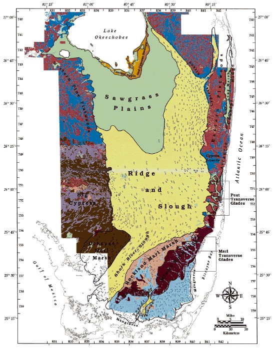 Map Of Everglades 1859