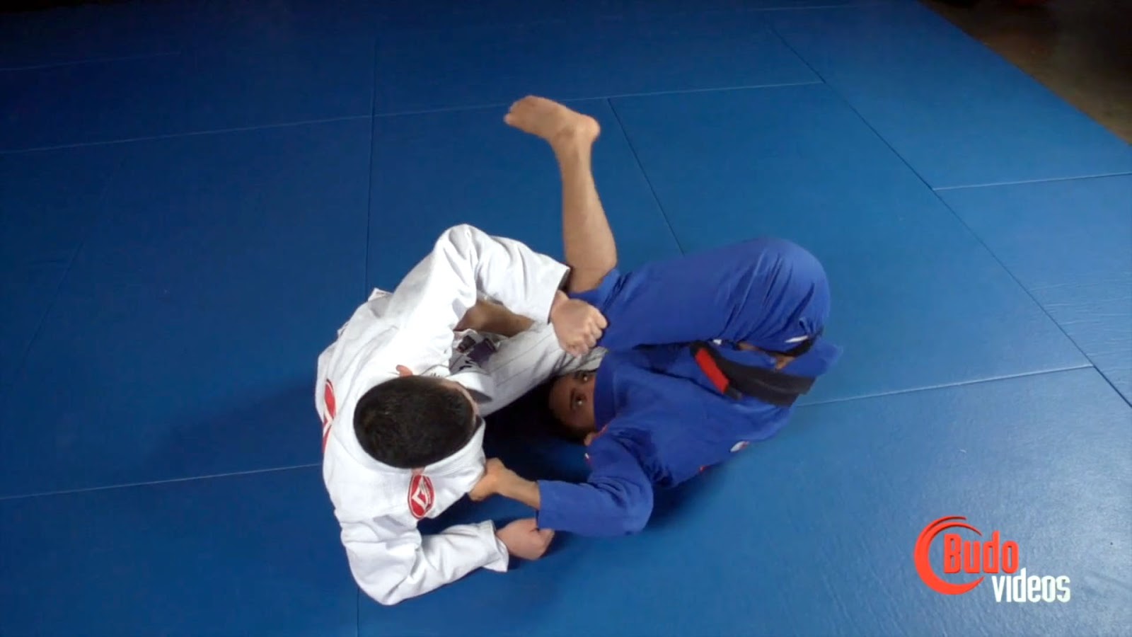 Berimbolo Tutorials: Gianni Grippo, Miyao Brothers, Samuel Braga ...