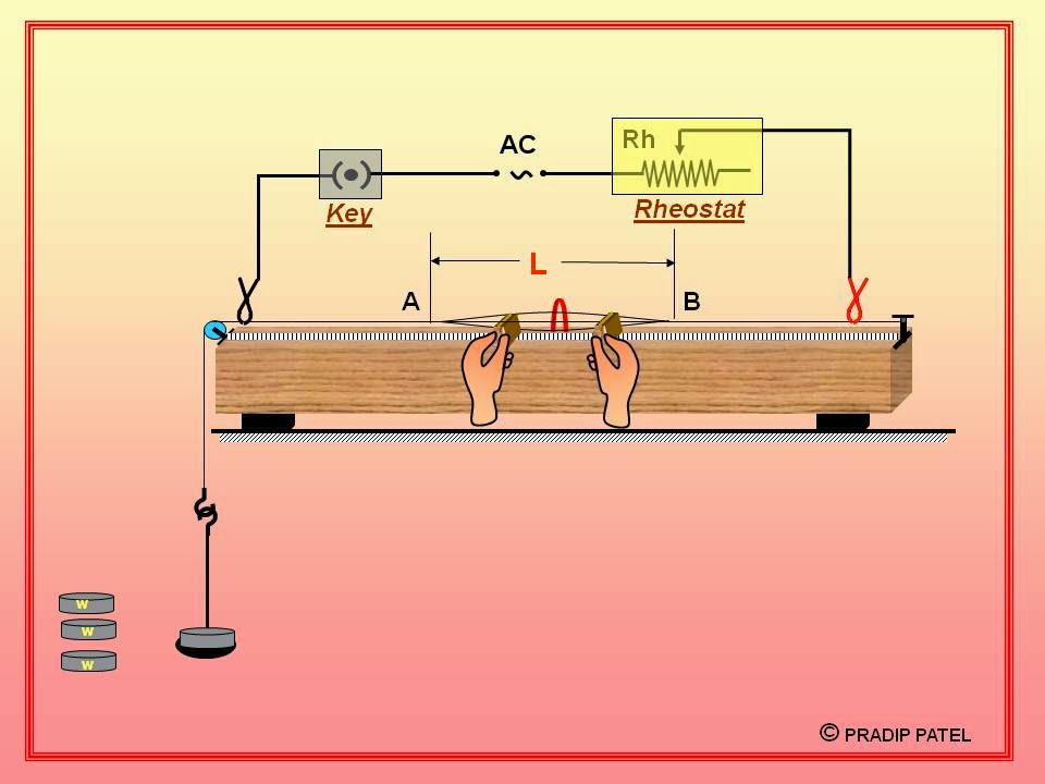 Physics Learn: Sonometer find the frequency of alternating current ...