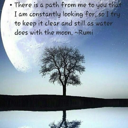 33 Rumi Quotes That Will Change Your Life - PART 2