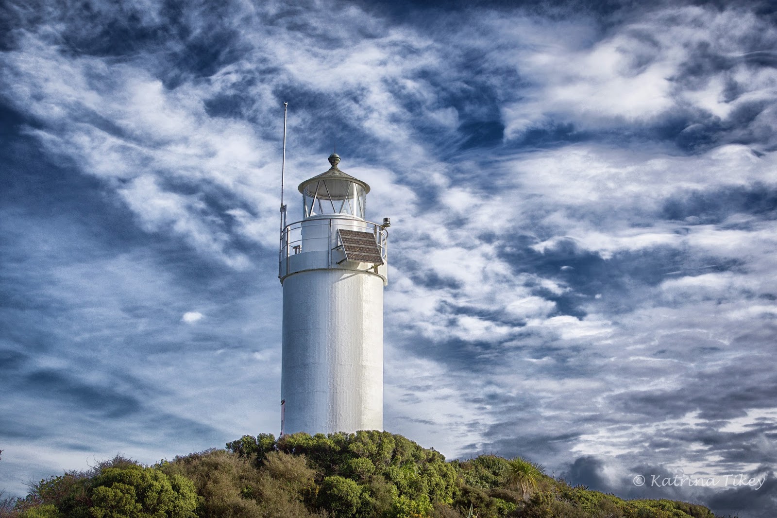 Paws Awhile: Cape Foulwind Walk