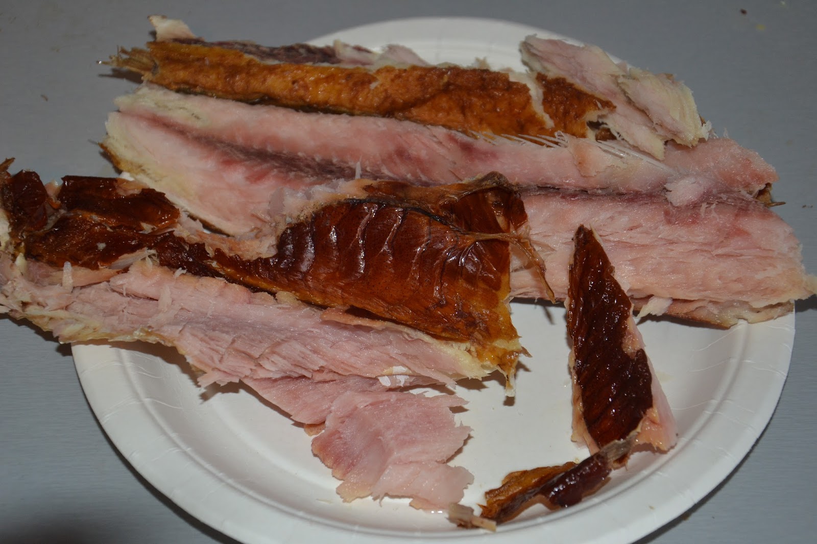 Oppdag Fisk!: Arius Proops/Crucifix Sea Catfish/Sciades Proops ...