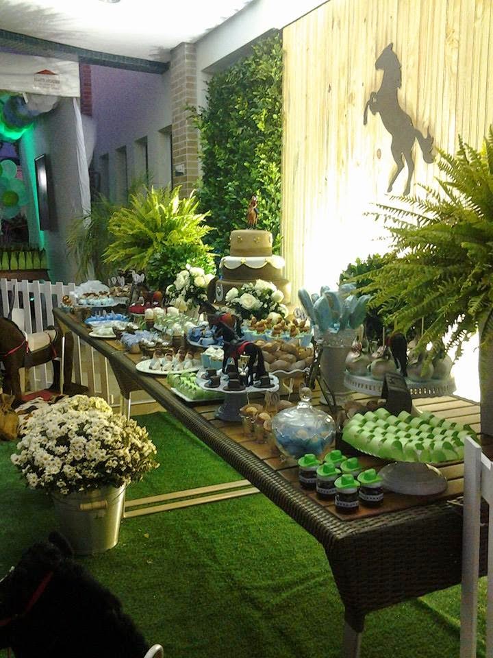 FESTA HARAS DE GUILHERME!