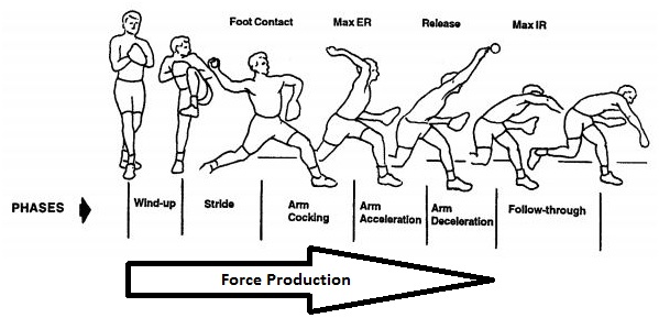 Baseball Pitching Biomechanics