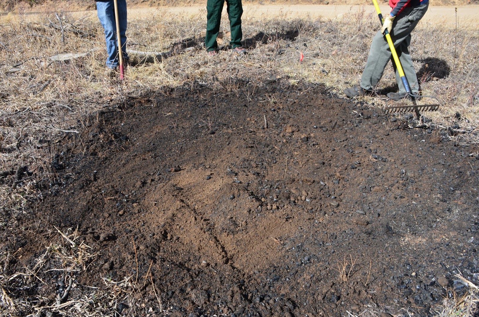Trailcology: Project Day: Hermit Park Open Space Slash Pile Burn Scar ...