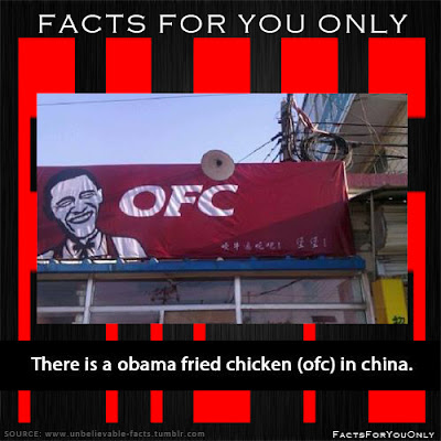 Facts For You Only: There is a Obama Fried Chicken (OFC) in China..