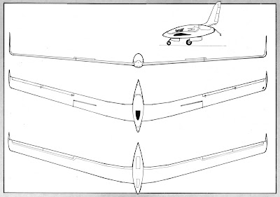 flying wings: SB13 full size wing