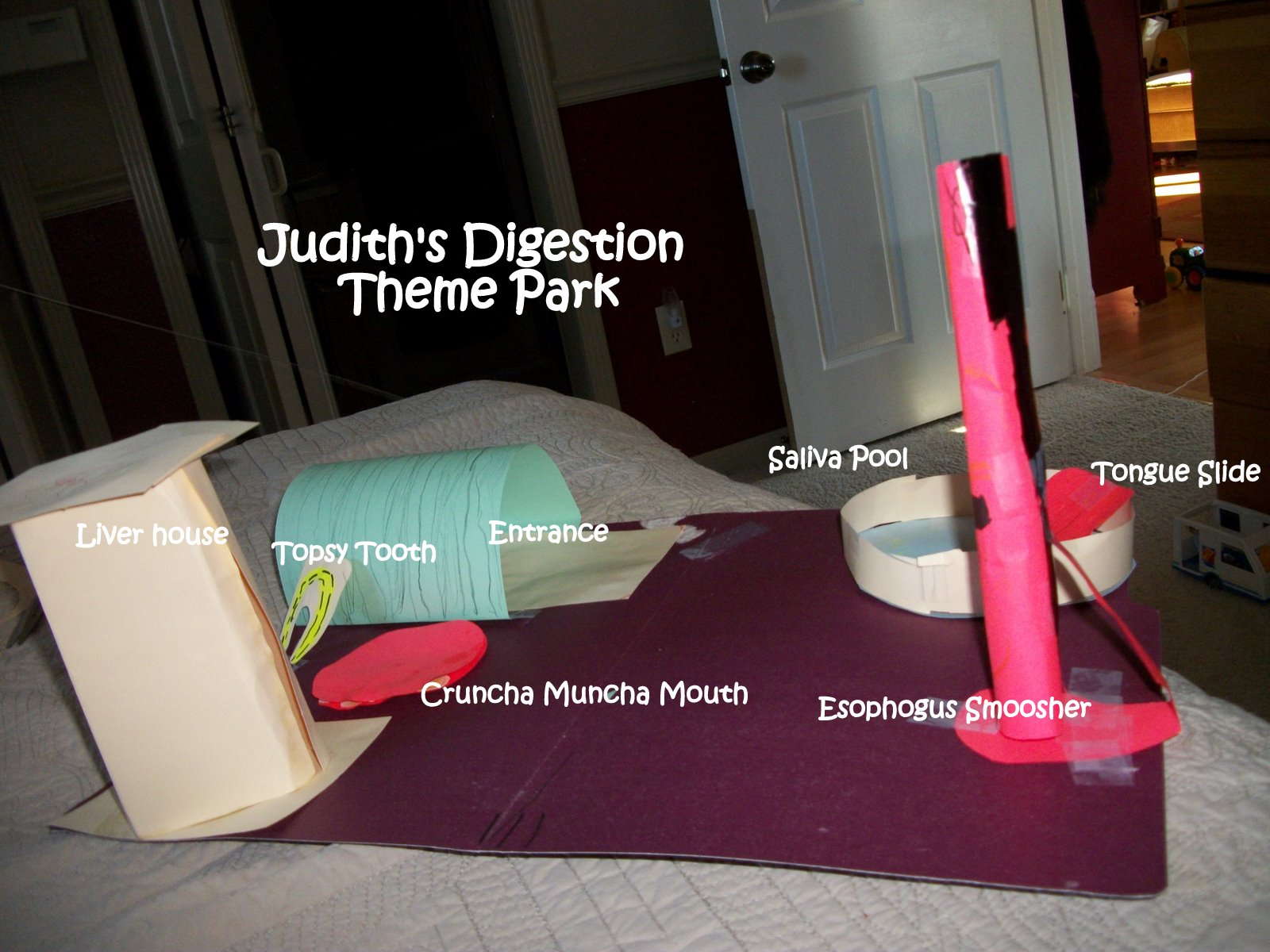 At Home on the Last Frontier: Digestion Theme Park--Not Your Typical ...