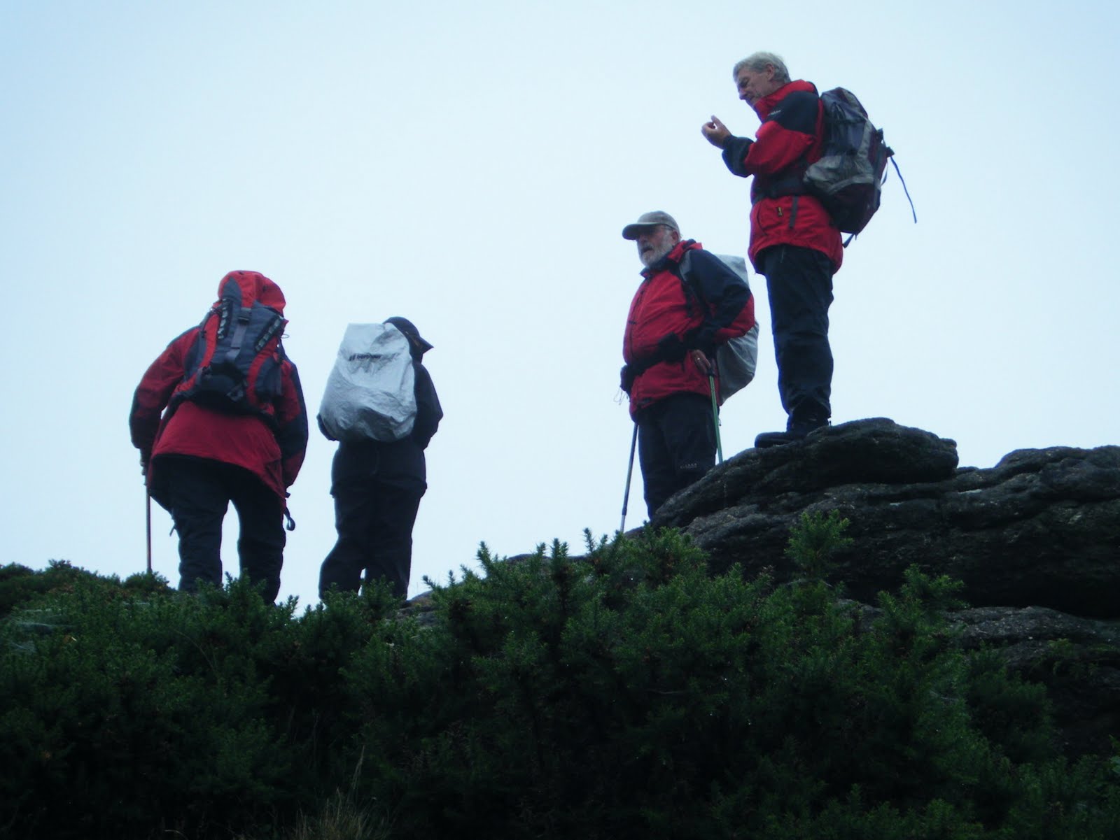 My Dartmoor Walks: Tuesday 5th July Manaton to Lustleigh