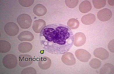 Estomatologia - Doenças bucais - Prof. Assoc.Jayro Guimarães Jr ...