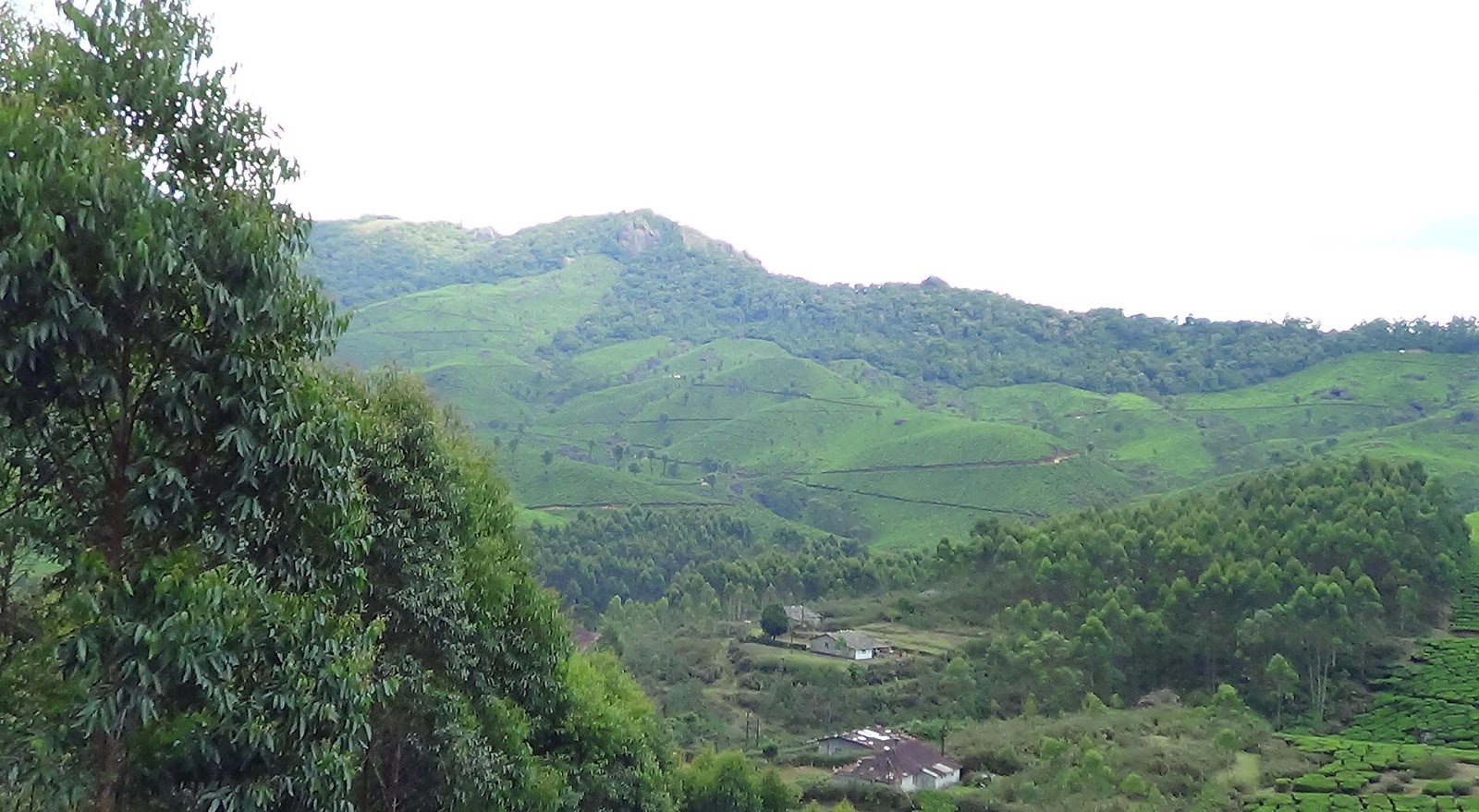 Tamilnadu Tourism: Cumbum Valley