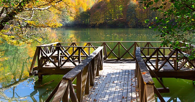 Maşukiye'yi Gördünüz mü?