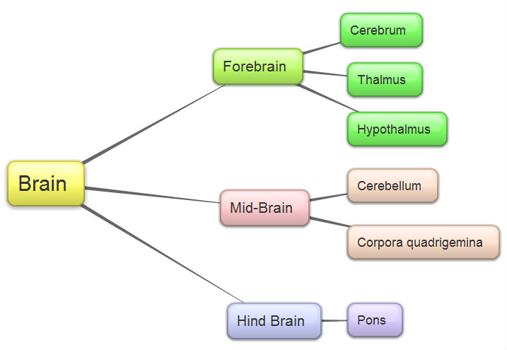 CBSE Papers, Questions, Answers, MCQ ...: CBSE Class 10 - Science - CH7 ...