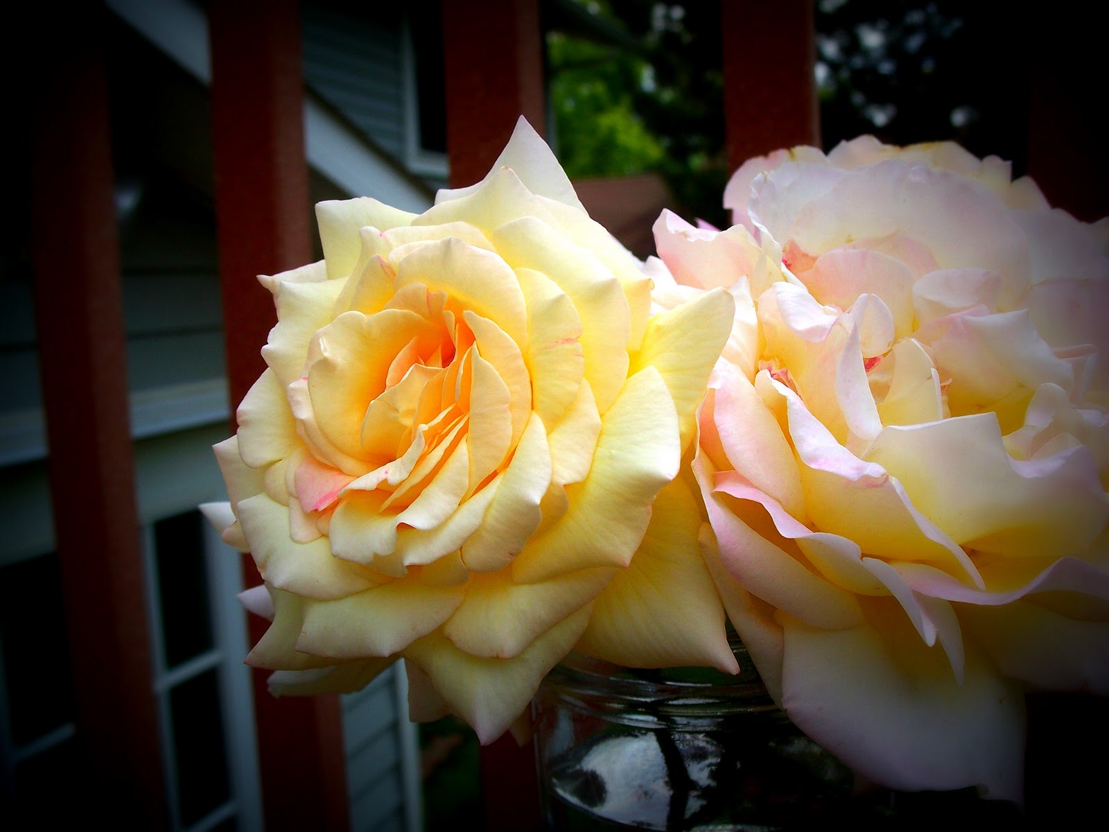 Ruby Belle: Smelling Like Roses