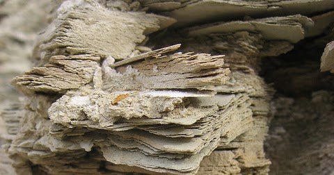 Scientist, Artist, Fulbright Scholar: Ephemeral Sculpture