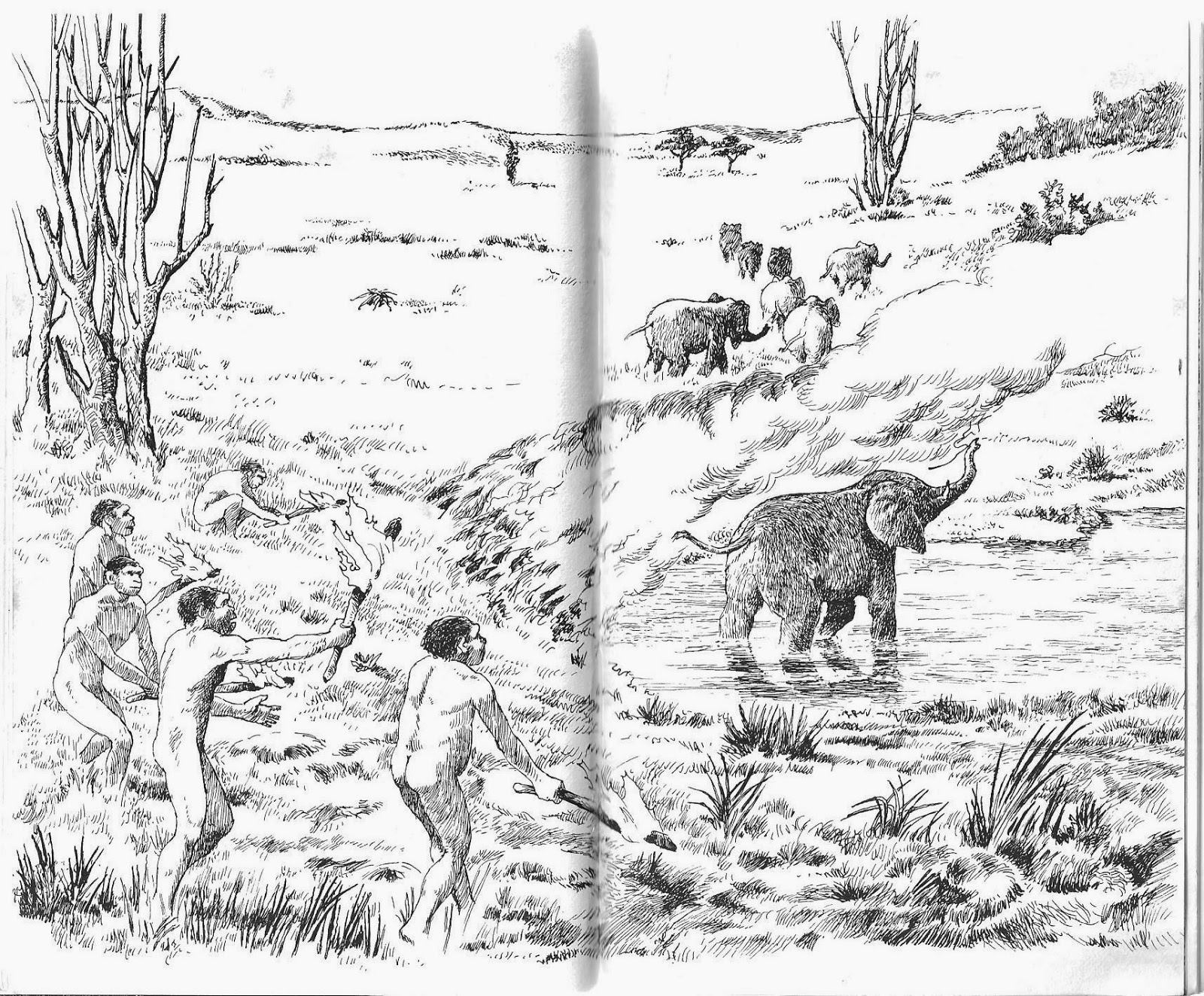 Leçons de choses: Les premiers hommes (Jean-Jacques Hublin)