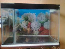 jual Aquarium murah