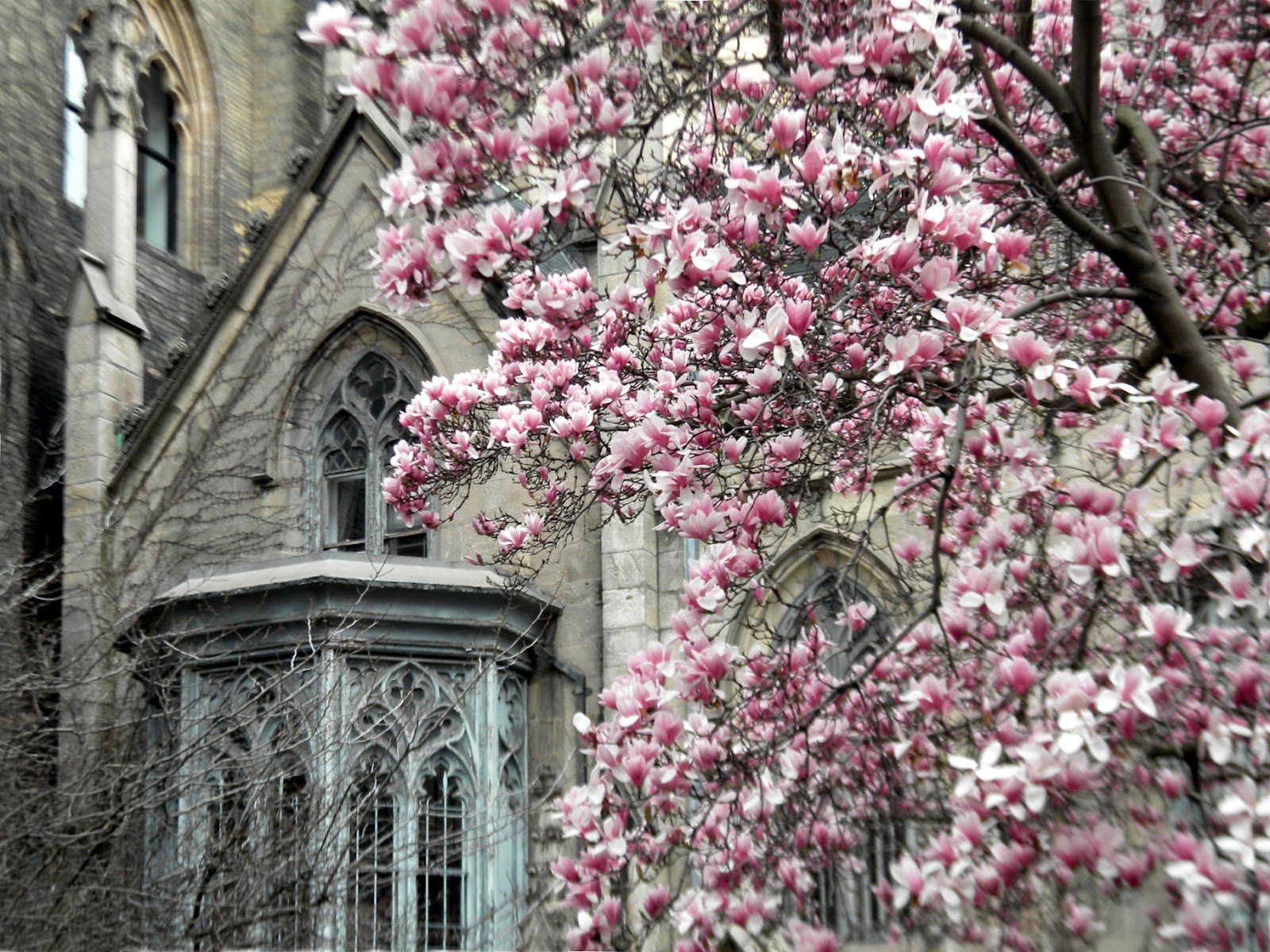 Spring Grace Church New York City Public Domain Clip Art Photos and Images