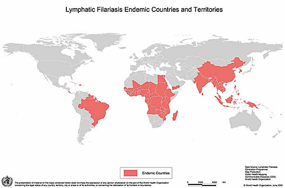 Infection Landscapes: Lymphatic Filariasis